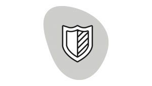 Discover the different common countermeasures | Commonwealth Fraud ...